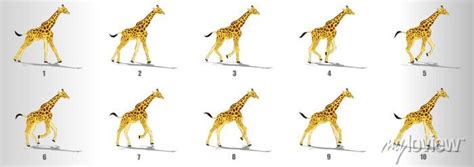 Giraffe Run Cycle Animation Frames Loop Animation Sequence Sprite