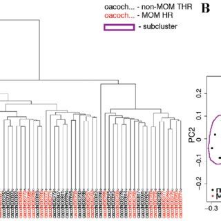 Sample Clustering A A Dendrogram Depicting Results Of Unsupervized Download Scientific