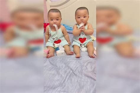 萌娃 三胞胎 亲子萌娃