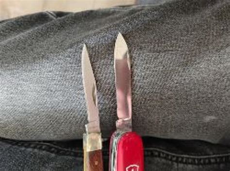 Browning Buckmark Classic 310 Stockman Folding Knife W 50th