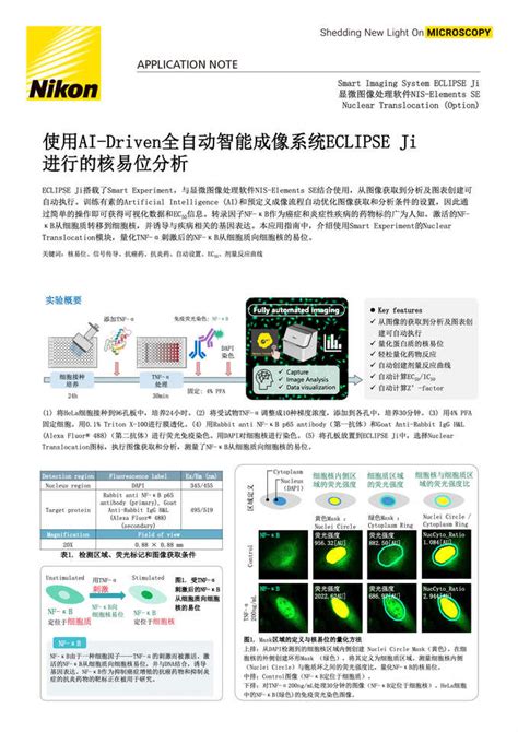 使用ai Driven全自动智能成像系统eclipse Ji进行的核易位分析 应用手册 资料 尼康精机（上海）有限公司