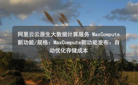阿里云云原生大数据计算服务 Maxcompute新功能规格：自动优化存储成本 阿狸测试