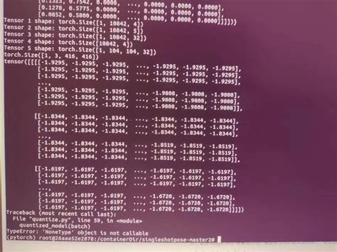 【pytorch Yolact模型部署】量化yolact实例分割模型报错，求助 寒武纪软件开发平台 开发者论坛