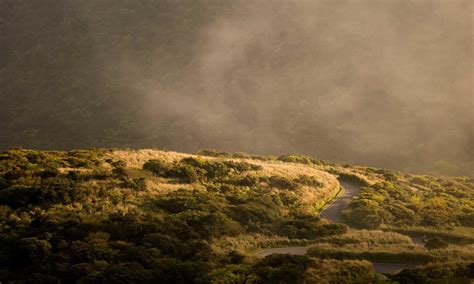 Mastering Data Structures The Foundation Of Efficient Programming