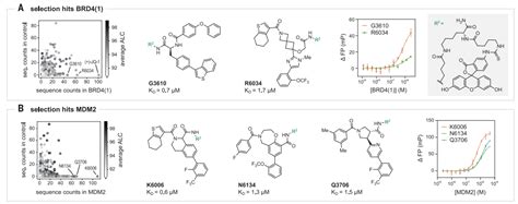 science：肽“条形码”，加速小分子药物发现 x mol资讯