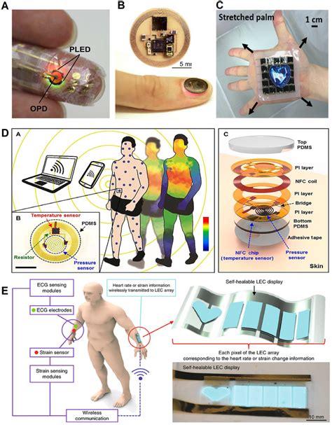 Wearable Optical Sensors And Electronic Skins A Ultra‐flexible Download Scientific Diagram