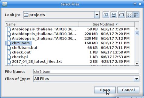 Alignment To Read Counts And Visualization In Igv Uc Davis