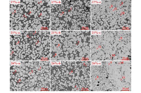 Microstructure Of Product Sinter Under Sem With Different Download