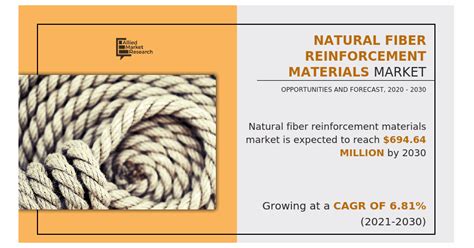Natural Fiber Reinforcement Materials Market Size Share Industry Analysis Segments And