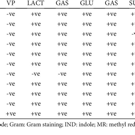 Biochemical Test Results Of Isolates In Odo Ori Market Download