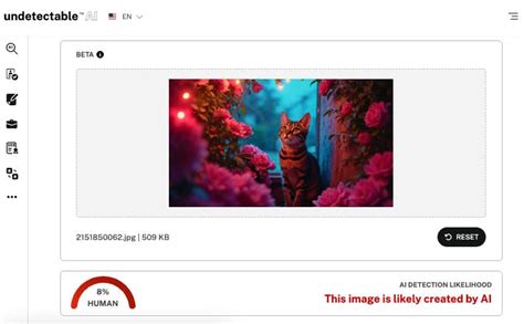 Ai Scan Everything You Need To Know