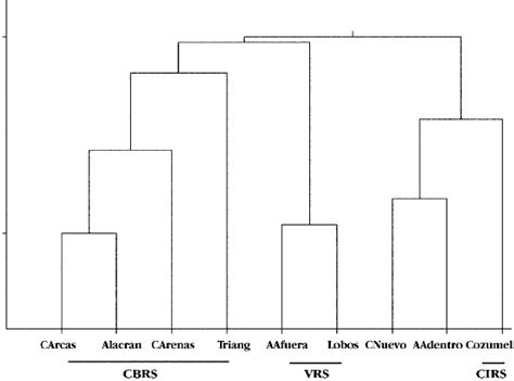 cluster analysis obtained with the bray curtis similarity index for the