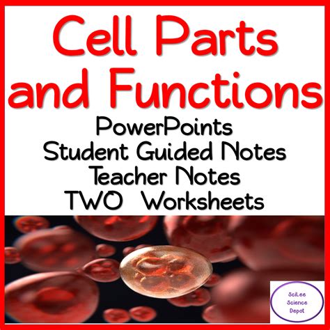 cell structure and function powerpoint and worksheets made by teachers