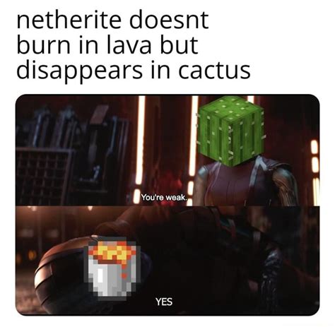 Netherite Doesnt Burn In Lava But Disappears In Cactus IFunny