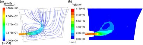 a velocity streamlines and b velocity field download scientific