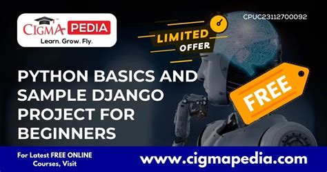 python basics and sample django project for beginners free udemy