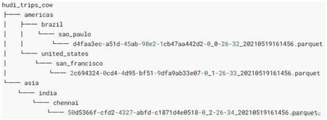 Hudi学习二：spark Shell操作hudispark Shell Hudi Csdn博客
