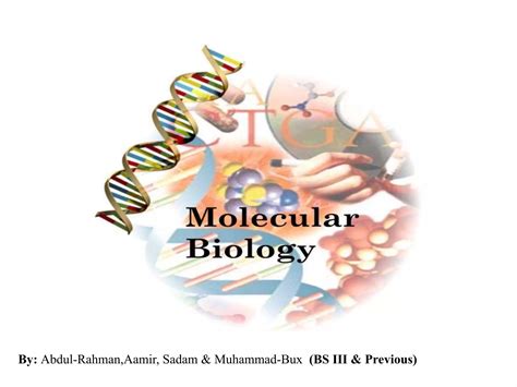 Molecular Biology Presentation Ppt