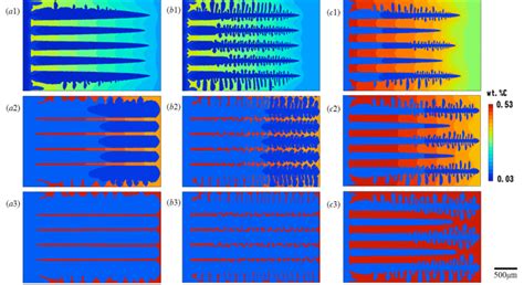 Simulated Solute Concentration Distributions Of The Simulations Of