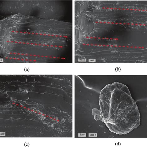 Sem Analysis Of The Surface Fracture Of The Composite With 15 Vol Of