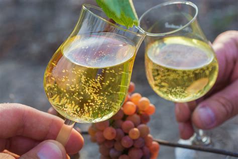Semi Sweet Wines for Beginners: A Guide to the Best Varieties - New Day ...