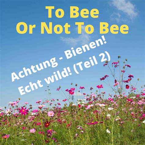 To Bee Or Not To Bee 10 To Bee Or Not To Bee Podcast Listen Notes