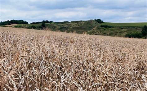 Gród w Stradowie. Największa ze wszystkich twierdz Słowian na ziemiach ...