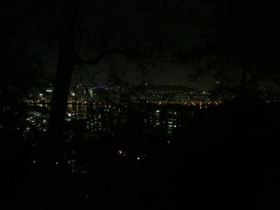 The Exploring Turtle Tumblr Com Tumbex