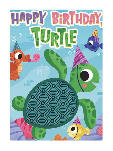 Happy Birthday Turtle Little Hippo Books