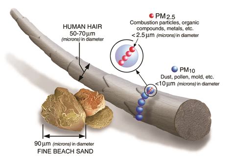 Size Comparisons For Pm Particles — Science Learning Hub