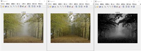 图像去雾：基于暗通道的去雾算法 附代码基于暗通道先验的图像去雾算法 Csdn博客