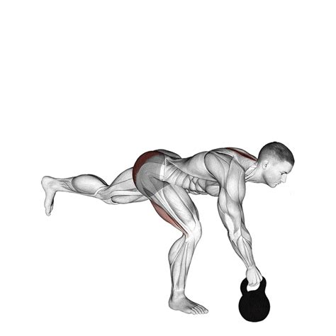 Single Leg Deadlift Muscles