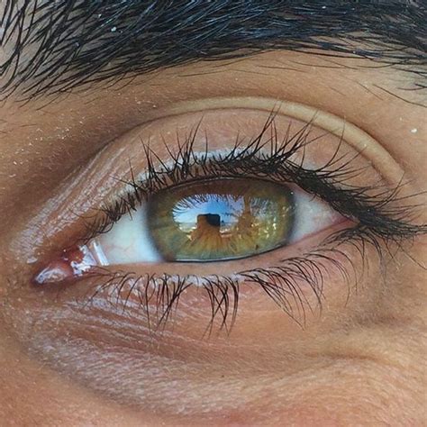 𝘴𝘶𝘯𝘯𝘺𝘳𝘩𝘢𝘱𝘴𝘰𝘥𝘺 Beautiful Eyes Color Aesthetic Eyes Eye Photography