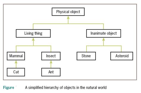 Inheritance Polymorphism And Operator Overloading In Python