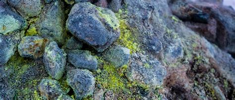 Radioactivity Sensors Comex Group Sorting Technologies And Powder Processing