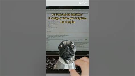 Coder Computerscience Tecnologia Coding Humor Computerprogramming