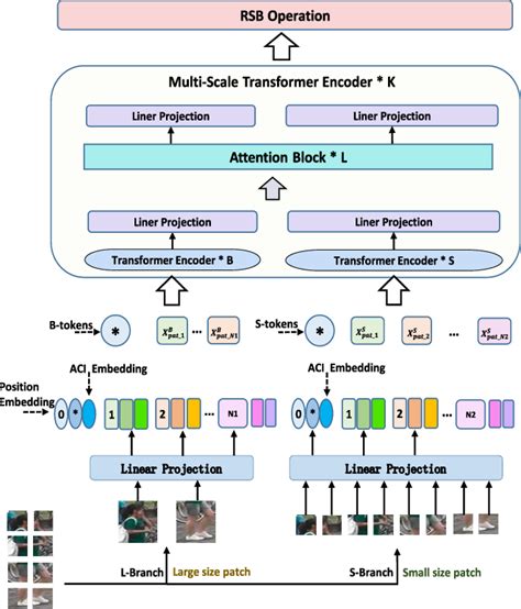 Figure 1 From Dimgnet A Transformer Based Network For Pedestrian Reidentification With Multi