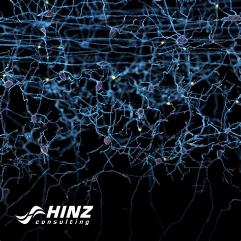 Convolutional Neural Networks In Proposal Graphics Transforming Visual Elements Hinz Consulting