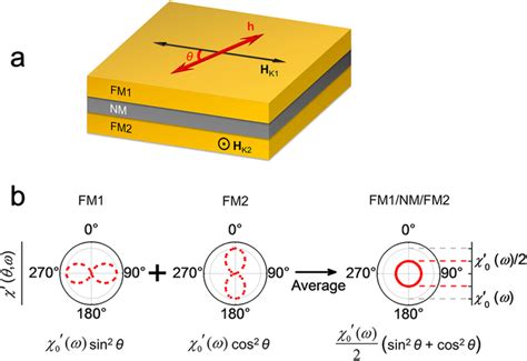 Schematic Diagram And The Angular Dependences Of The Susceptibility Of