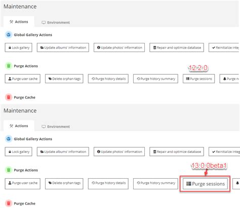 1300beta1 Purge Sessions Button Text Too Large On Maintenance Page