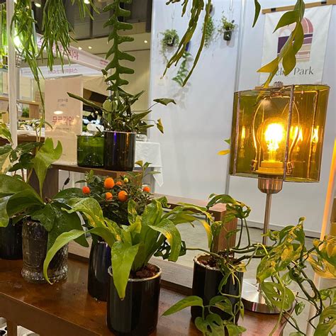 딜레이파크 •스테인드글라스 • 업사이클링 • 와인병 🪴 오늘은 마지막 날이네요 ㅠㅠ 오늘까지 부산에서 만나요👐🏻 📍라이프트렌드페어 📍벡스코 제1전시장 2b홀 B110 📍