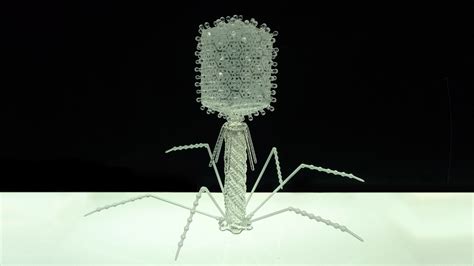 Glass Microbiology Luke Jerram
