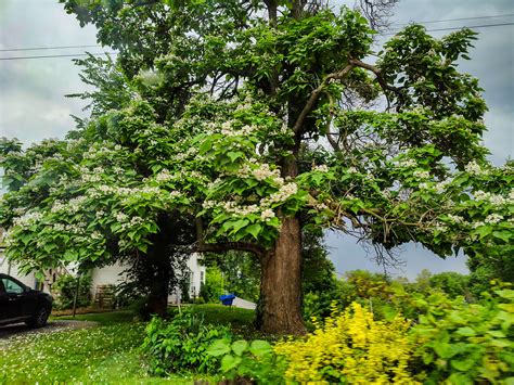 Spring Is In The Air Pixeling Pixie Flickr