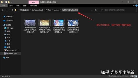 Python网络爬虫爬取小视频网站源视频自己偷偷看哦 知乎