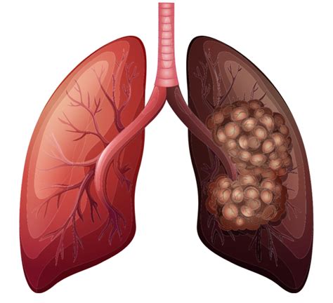 旗標科技 《核心開發者親授！pytorch深度學習攻略》