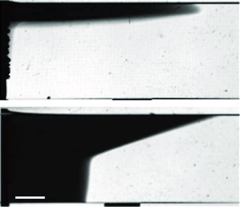 Marangoni Flow Driven Chemical Fronts The Front Propagates From Left Download Scientific