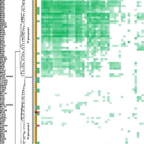 Rna Seq Based Transcript Abundances For Cell Type Specific Cell Wall Download Scientific