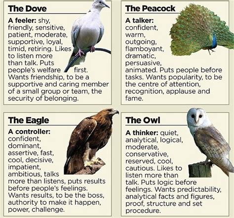 Bird Personality Test Printable