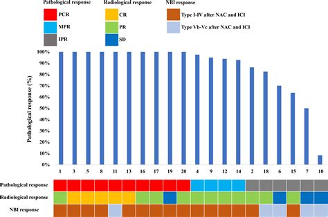 Frontiers Neoadjuvant Therapy With Chemotherapy And Immune Checkpoint Inhibitor For Laryngeal