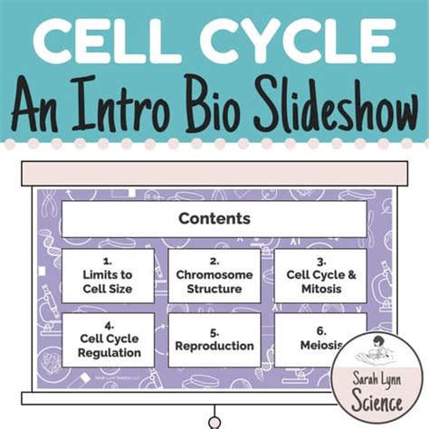 Cell Cycle Powerpoint And Slides Presentation By Sarah Lynn Science